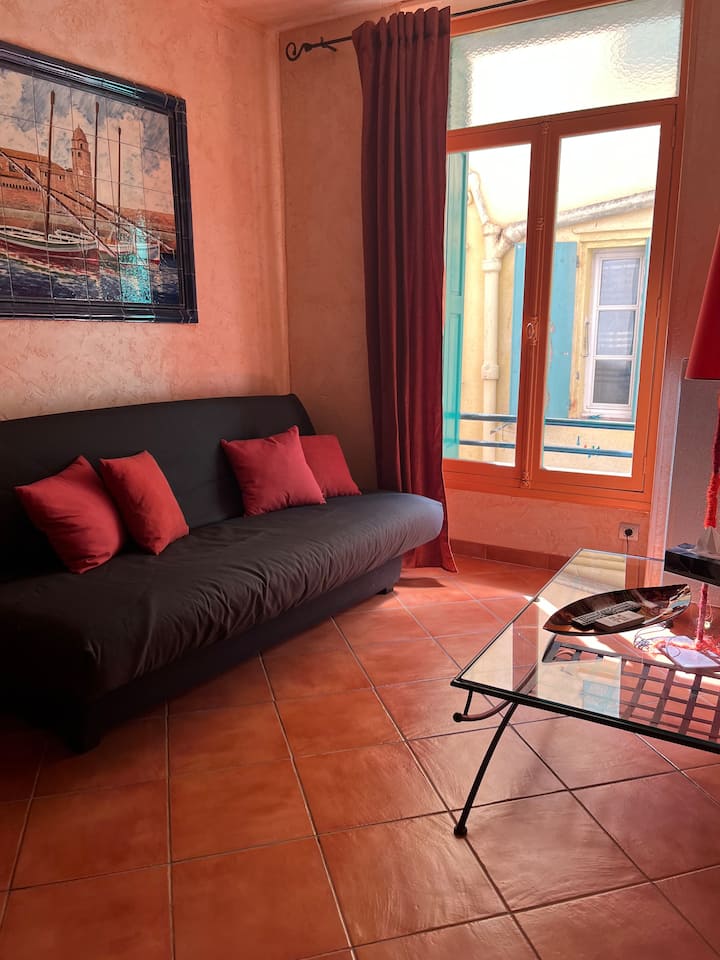 Hyper Centre - 50 Mètres De La Plage - Collioure