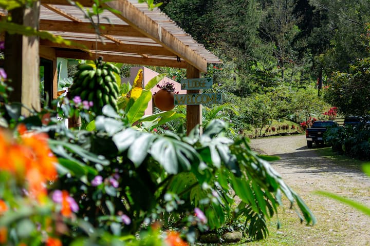 Apartment In Orosi Bhoga Lodge - Cartago