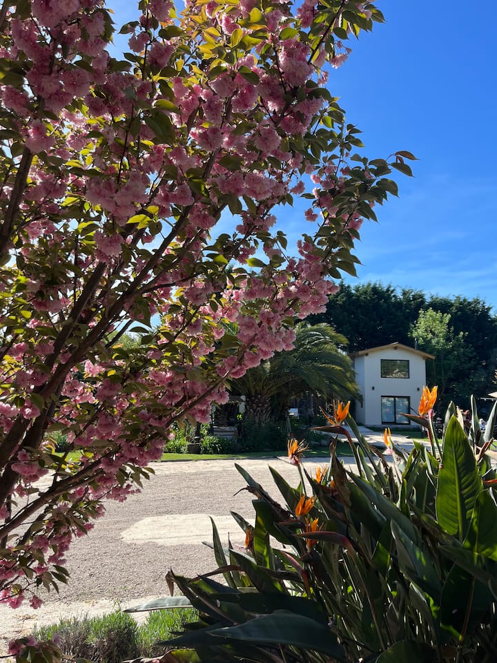 Cabaña Lodge Para 2 Personas - Mar del Plata