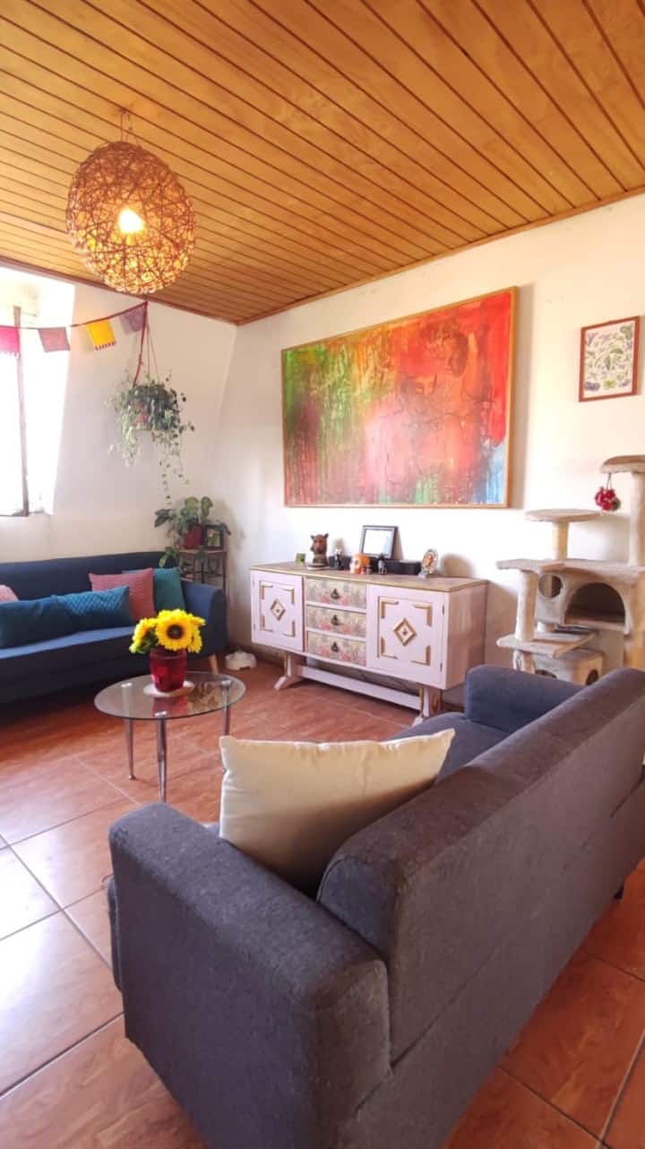 Habitación Increíble - Recoleta, Chile