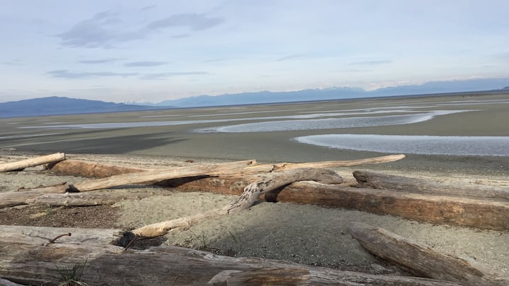 Beachfront 2bd 2bth Tanglewood Oceanfront Condo - Parksville