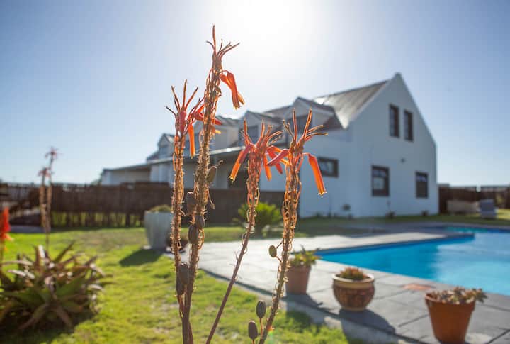 Fynbos Guest Houses - Hopefield