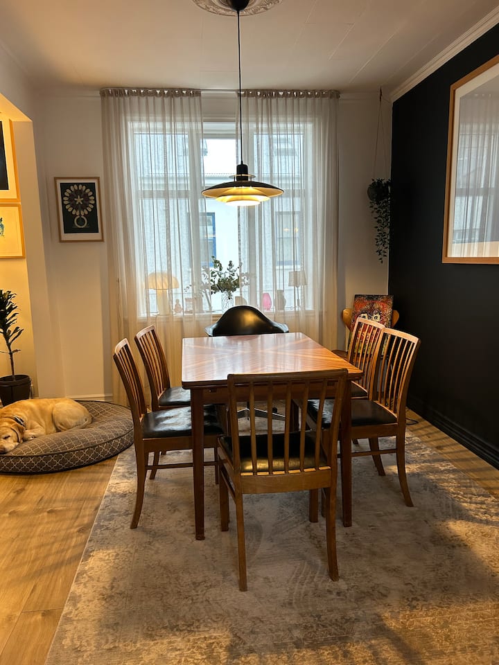Cozy Beautiful Flat Downtown Rvk - Reykjavik