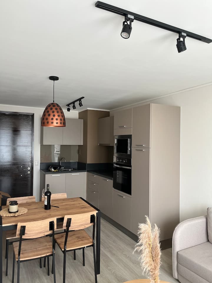 Puma Austral - Puerto Natales