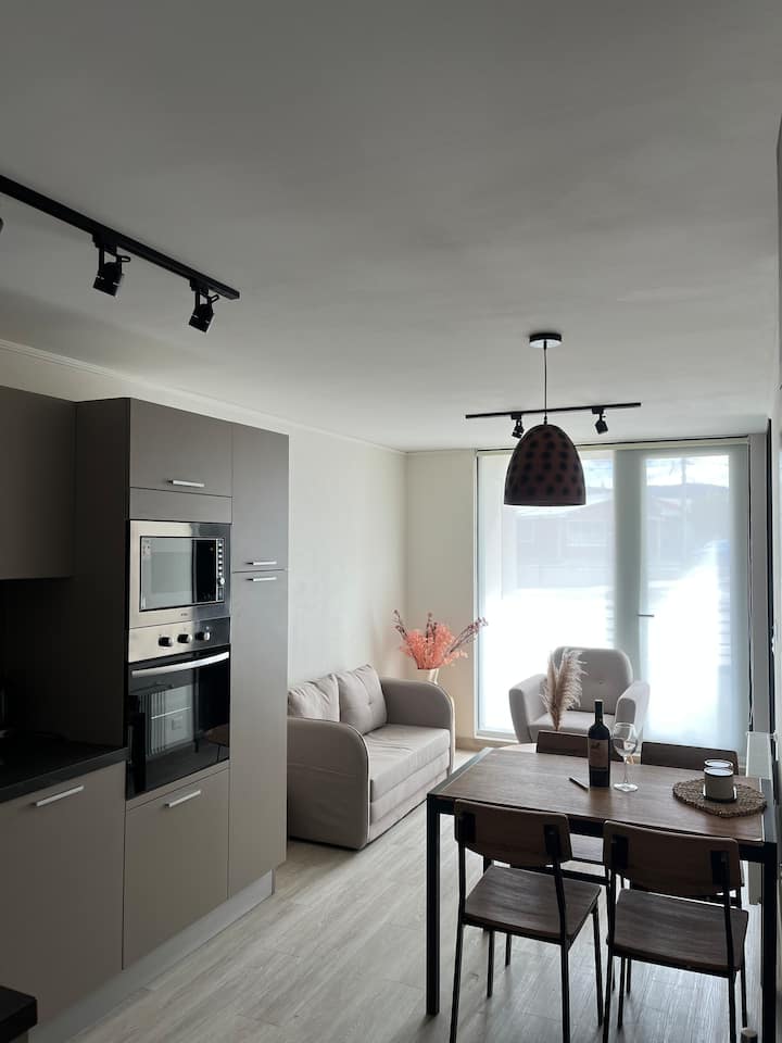 Puma Austral - Puerto Natales