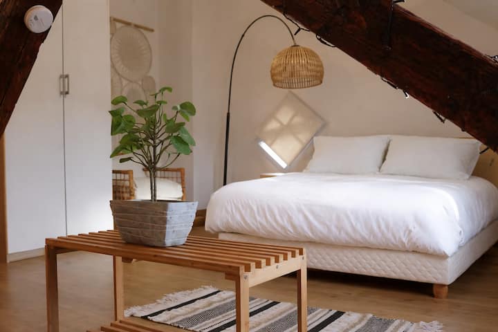 Le Duplex Des Marchands ( Centre Sélestat ) - Sélestat