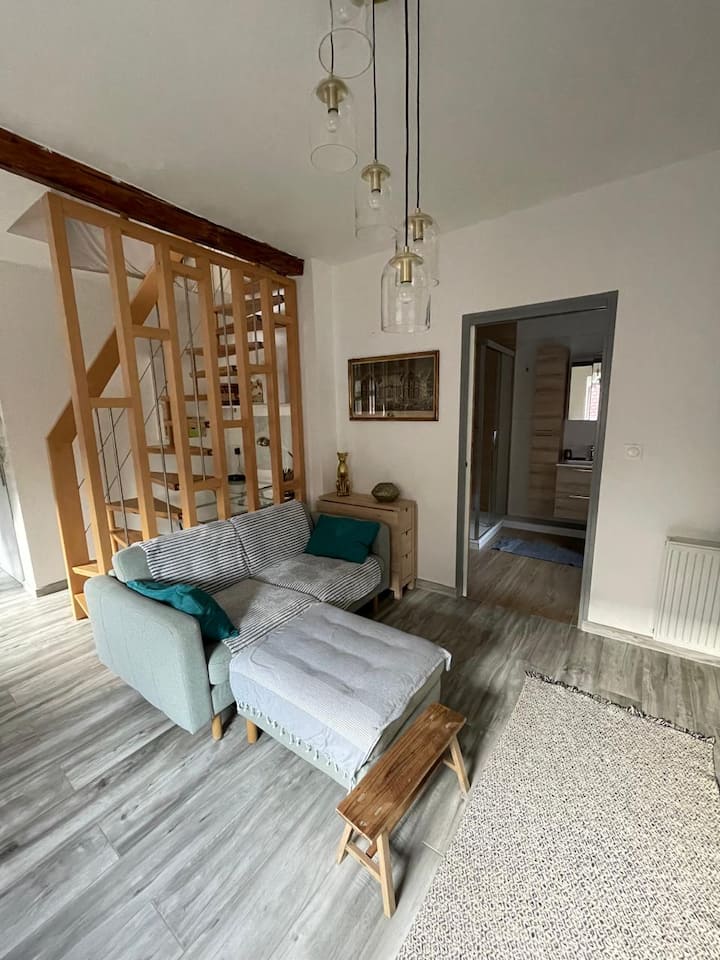 Le Duplex Des Marchands ( Centre Sélestat ) - Sélestat