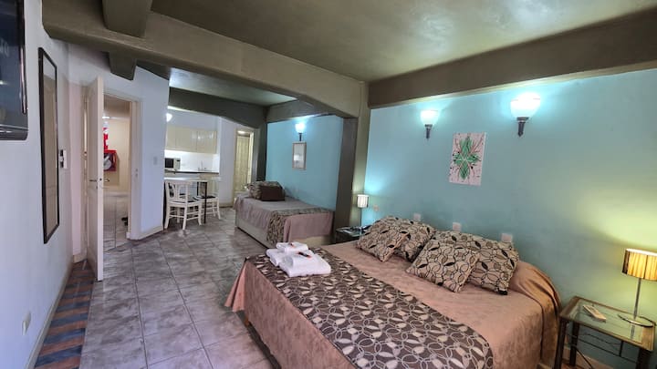 Céntrico, Piscina Y Desayuno Incluido - San Rafael, Argentina