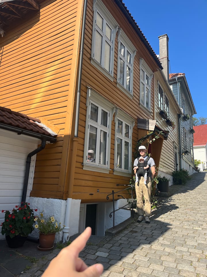 1-room Basement Apartment - Bergen