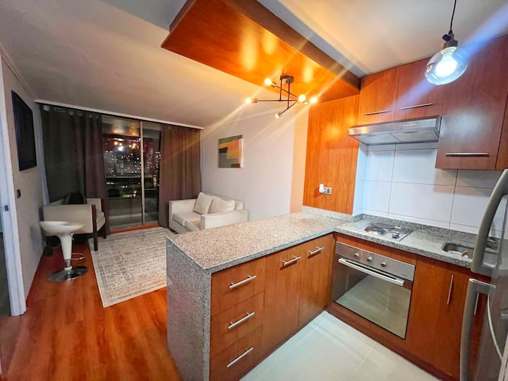 Cómodo Y Céntrico Departamento Recien Remodelado - Santiago