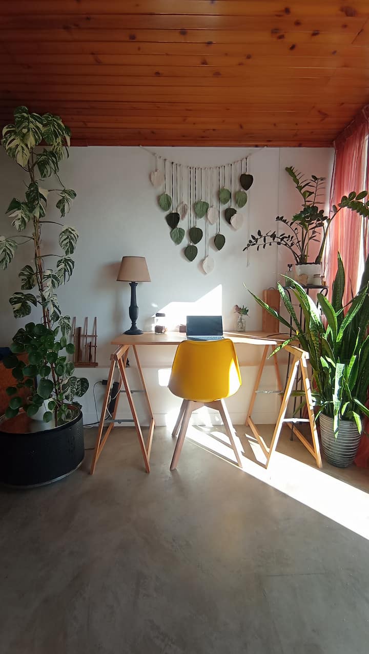 Kanela Guest House B-side - Madeira Island