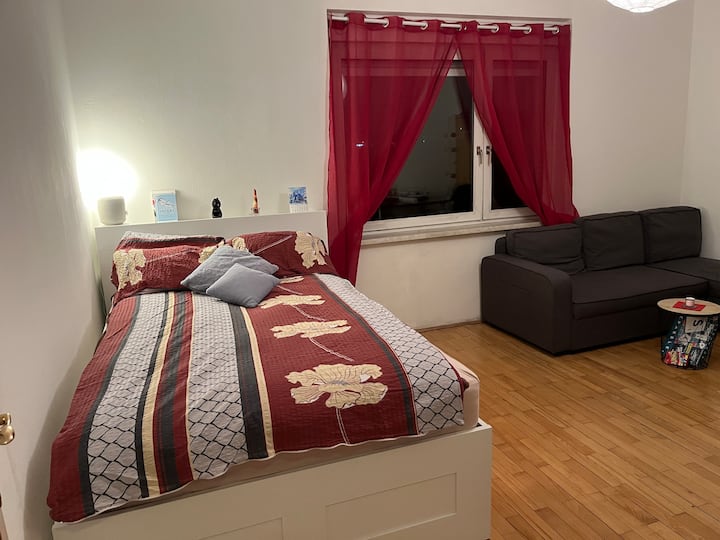 Charming & Fully Furnished Flat - Linz