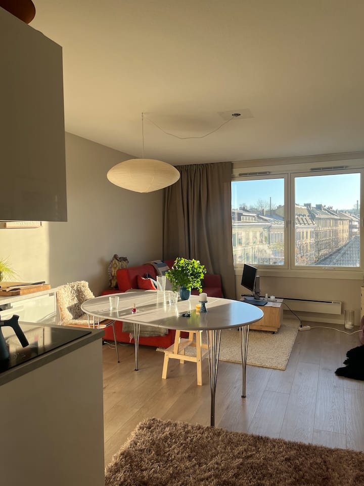 Sentral Leilighet Med Utsikt - Oslo
