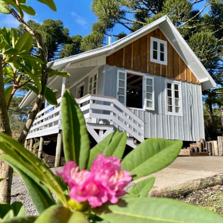 Branca De Neve Um Sonho - São Francisco de Paula