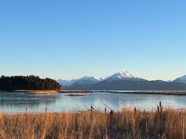 Beachfront Bird And Beach Vacation Rental - Homer, AK