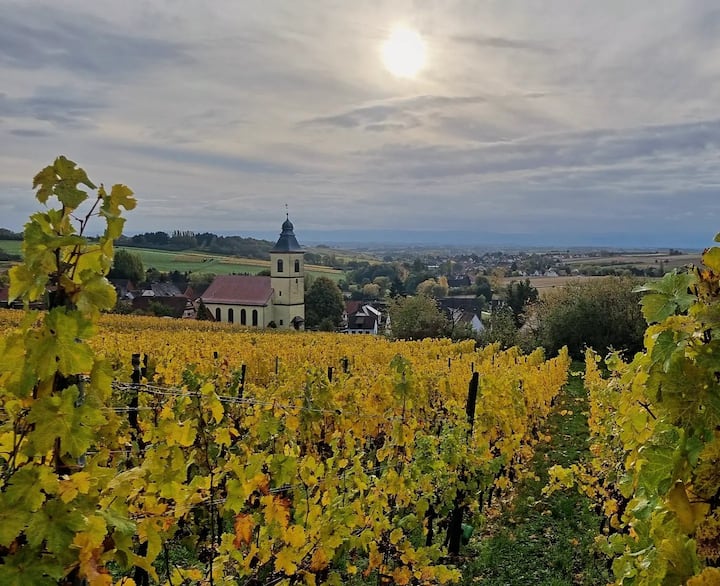 Mysig Lägenhet I Alsace - Schweigen-Rechtenbach