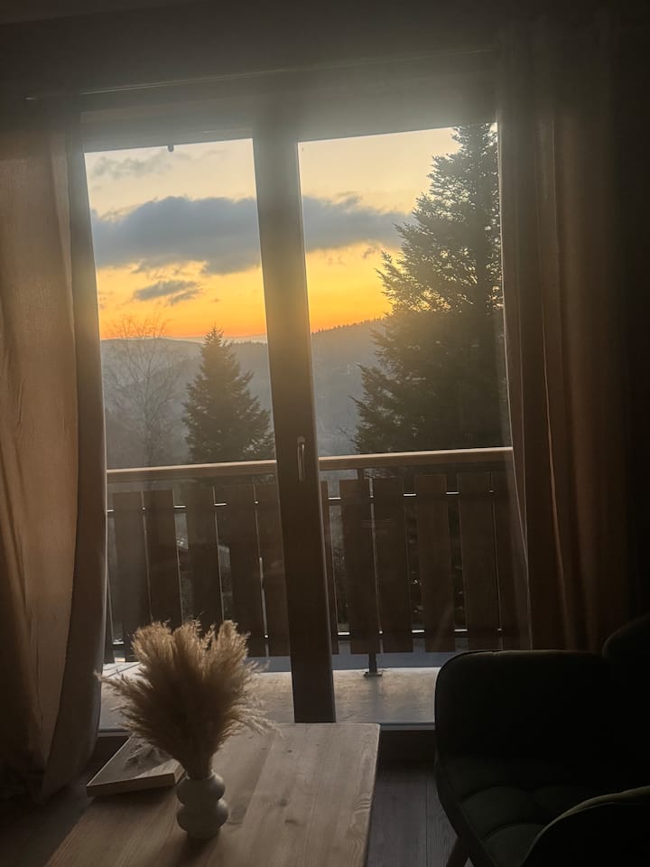 Chalet Montagnard - Bussang