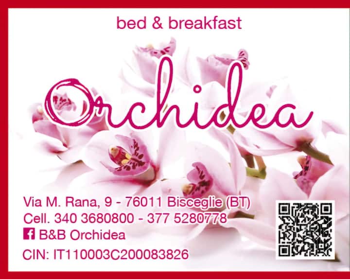 B&b Orchidea Appartamento In Pieno Centro. - Bisceglie