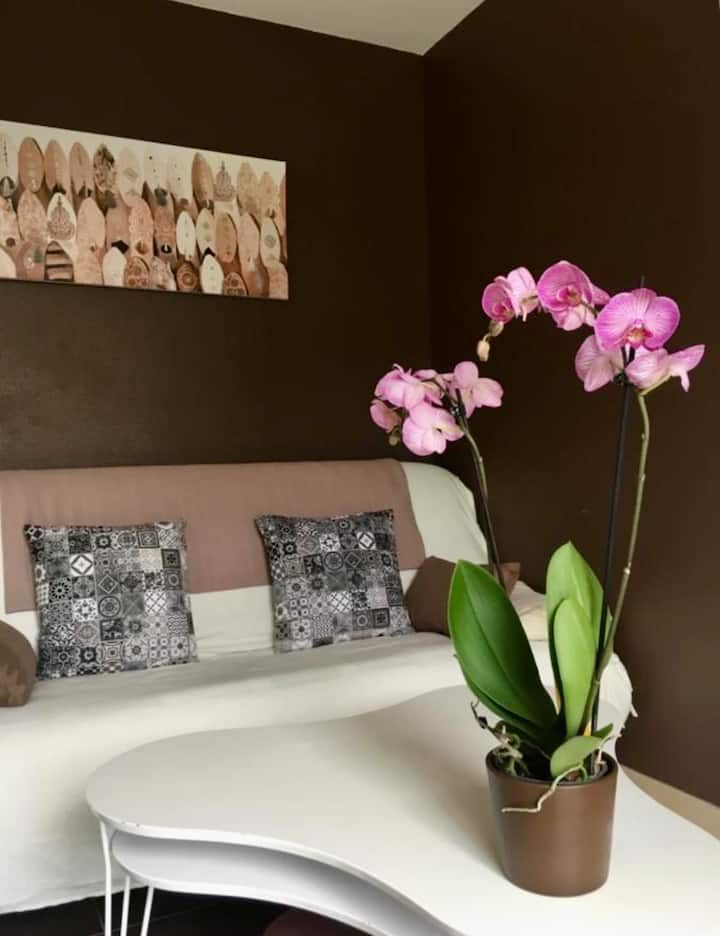 Appartement - Bègles