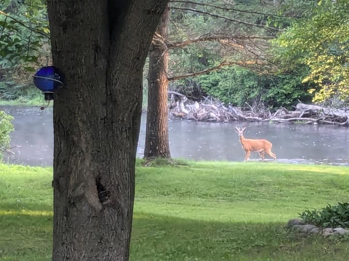 Beautiful Ausable River Front - Roscommon, MI