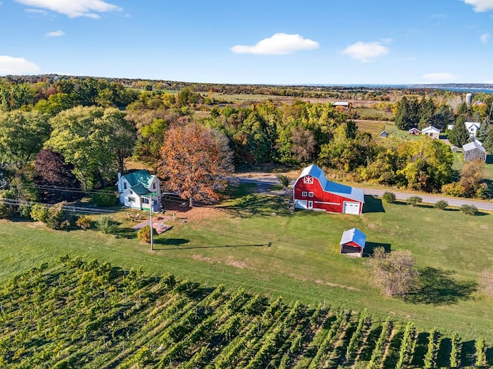 Cayuga Lake Winetrail Near Ithaca:the Finger Lakes - Interlaken