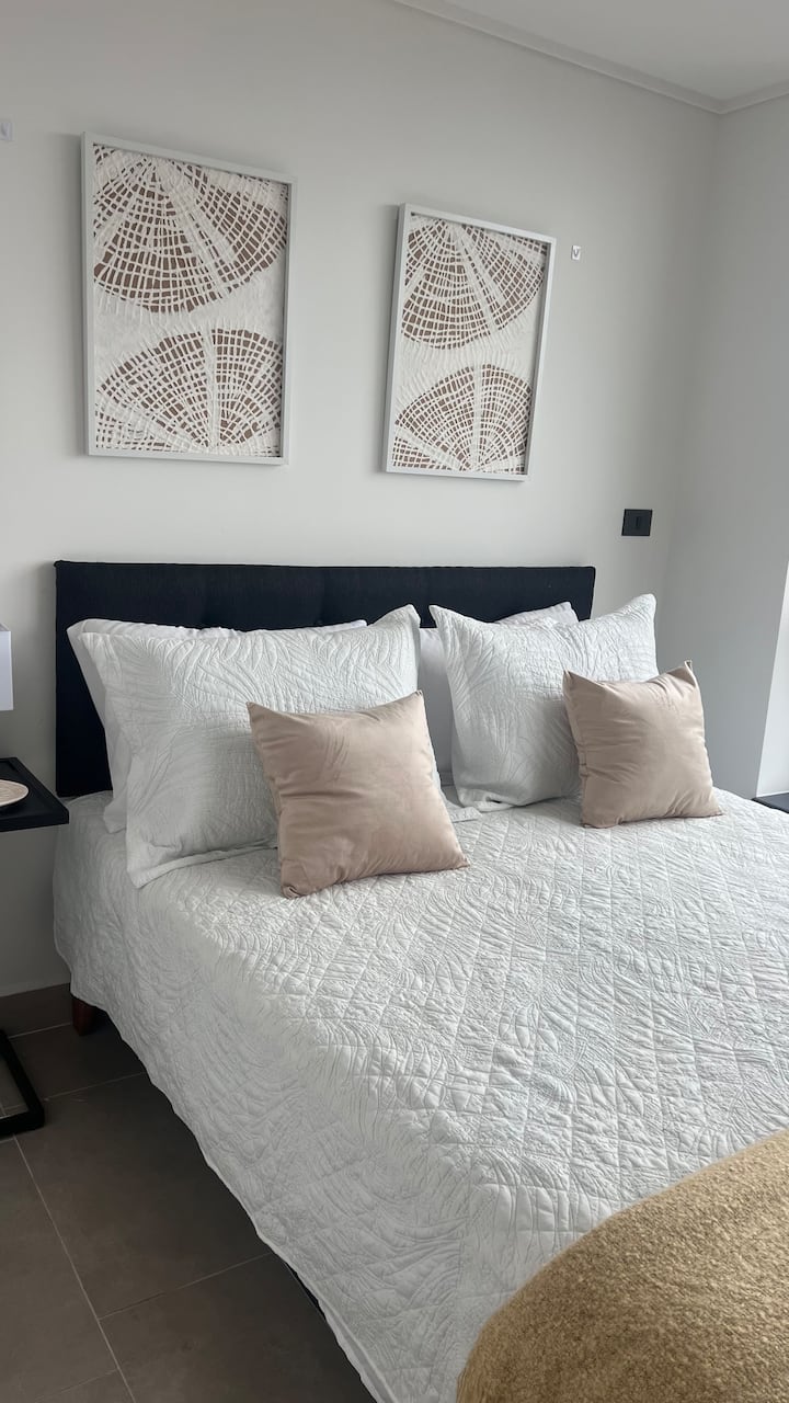 Depto - Centro Ccp A Pasos Udd - Concepción, Chile