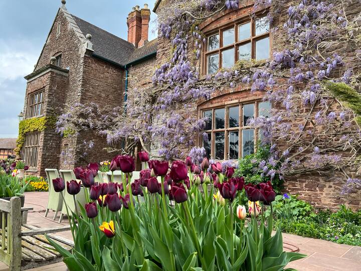 Country House Bed & Breakfast - School Room - Ledbury