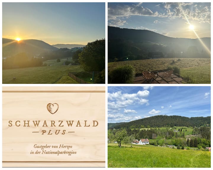 Helle Ferienwohnung Mit Tollem Ausblick - Baiersbronn