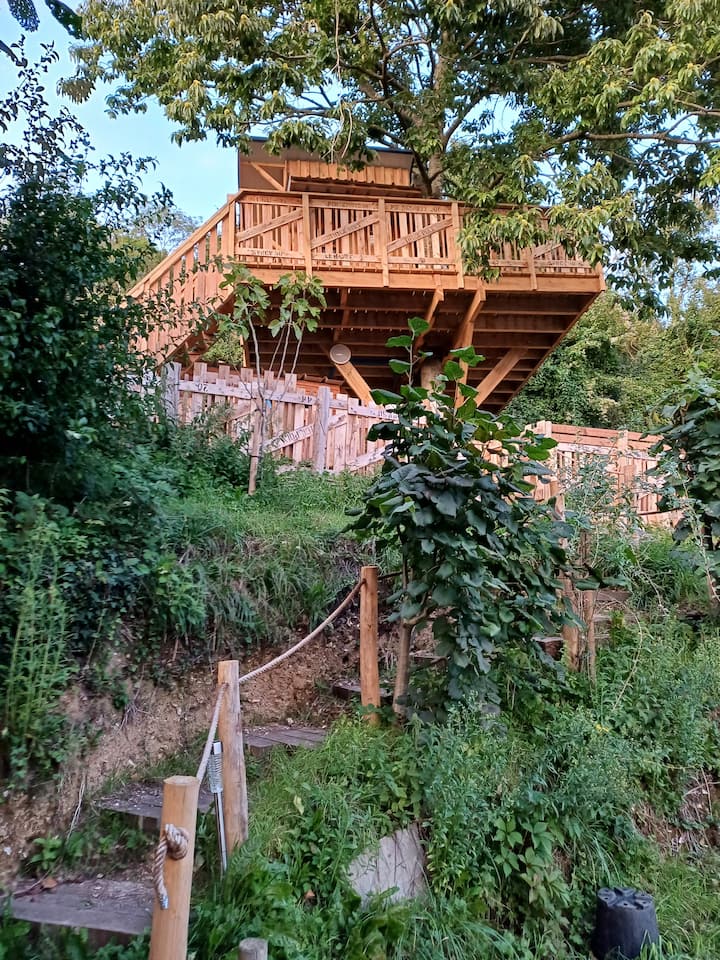 “Le Cotin Sylvestre” - Cabane Perchée - Fécamp