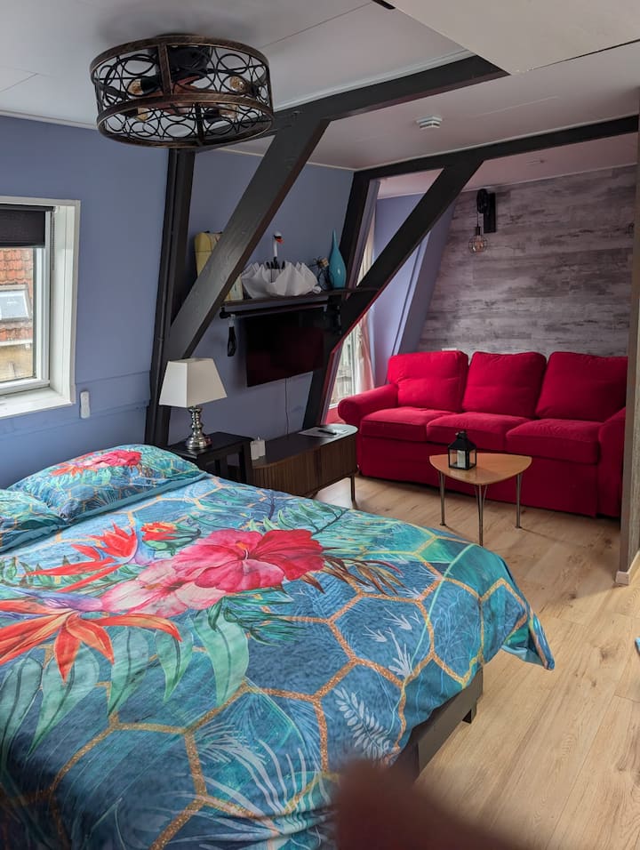 B&b In Monumentaal Pand 'T Zwanenest' - Harlingen