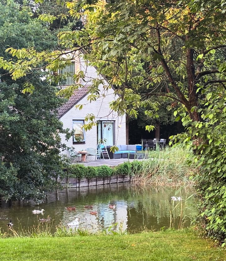 Happy Cottage - Hoeven Nl - Roosendaal