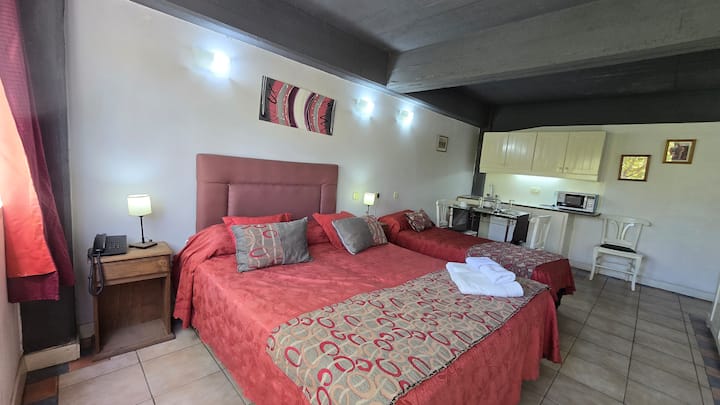 Céntrico, Piscina Y Desayuno Incluido - San Rafael, Argentina