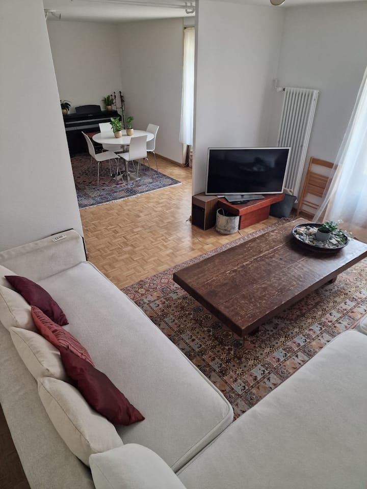 Appartement Lumineux Proche Lac. - Ginebra