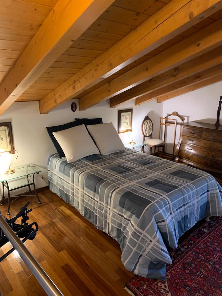 Patrizia Orchidea - Bussolengo