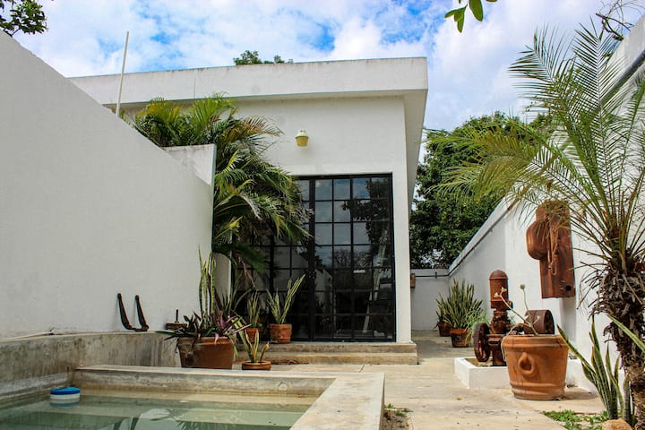 Casa Bimba & Luna - Mérida