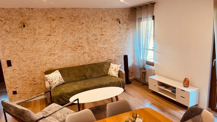 Appartement Spacieux Et Cosy. - Passy
