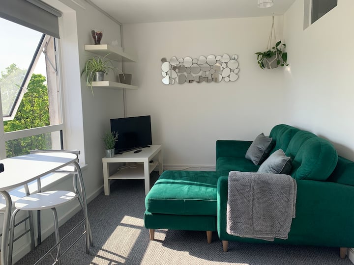Stunning Views Overlooking Park - 1 Bed - Birkenhead