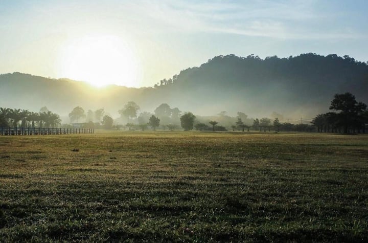 Friend & Family Relaxing 4 Units Mountain Breeze 4 - Khao Lak