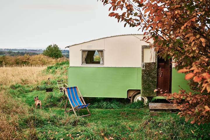 Sybil, Mad Dogs & Vintage Vans - Ross-on-Wye