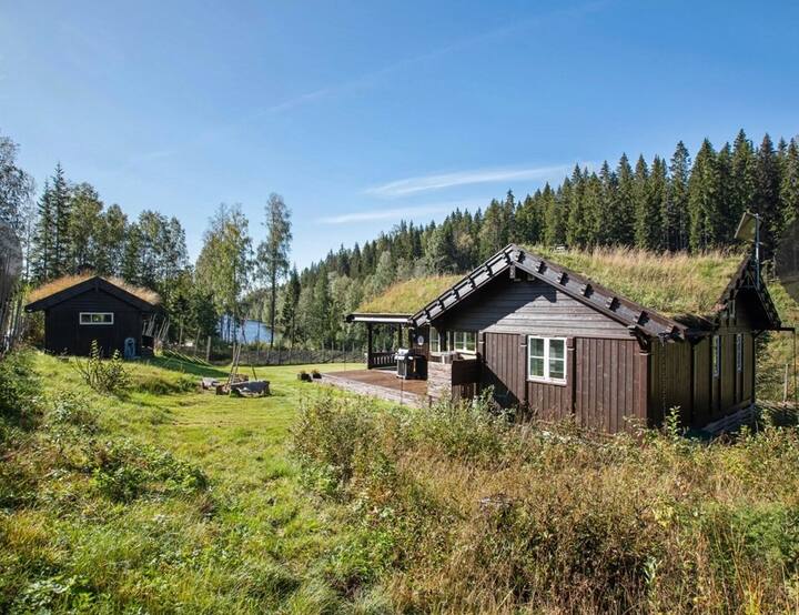 Skogsidyll Ved Vannet - Kongsvinger