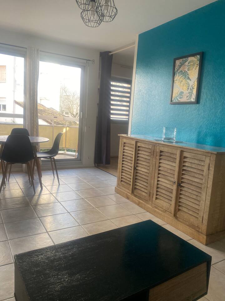 Au Cœur Du Centre-ville - Auxerre