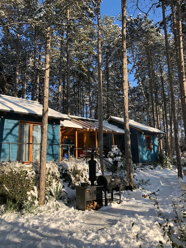 Surányi Kék Házak - Dunakanyar