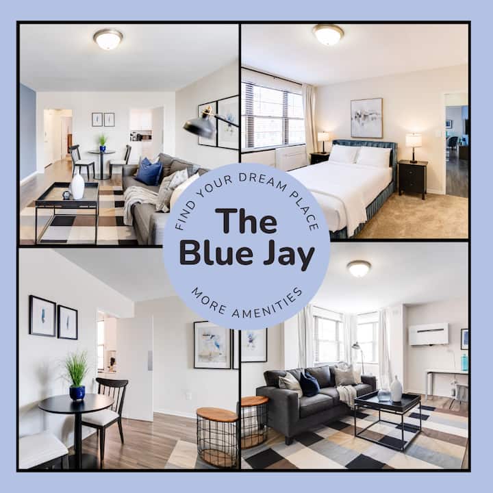 The Blue Jay Corner Apartment - Baltimore, MD