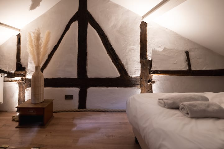 Appartement Atypique/coeur Historique De Liège - Herstal