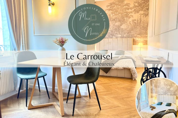 Le Carrousel - Au Cœur Du Centre Ville & Wifi - Aube