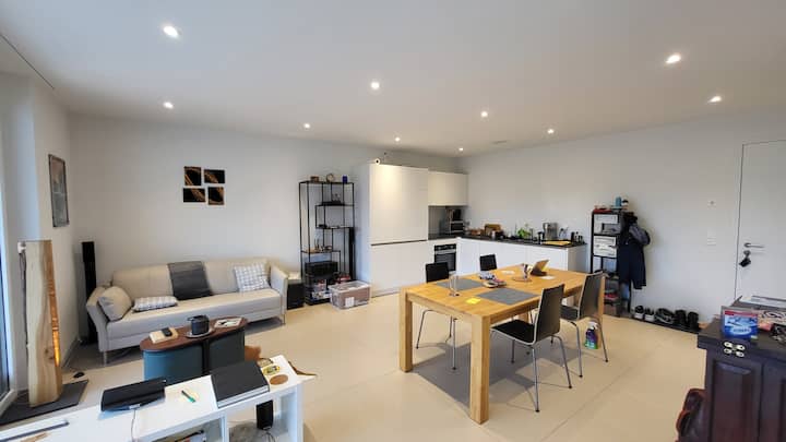 Modern & Bright 2 Room Apartment - Basel