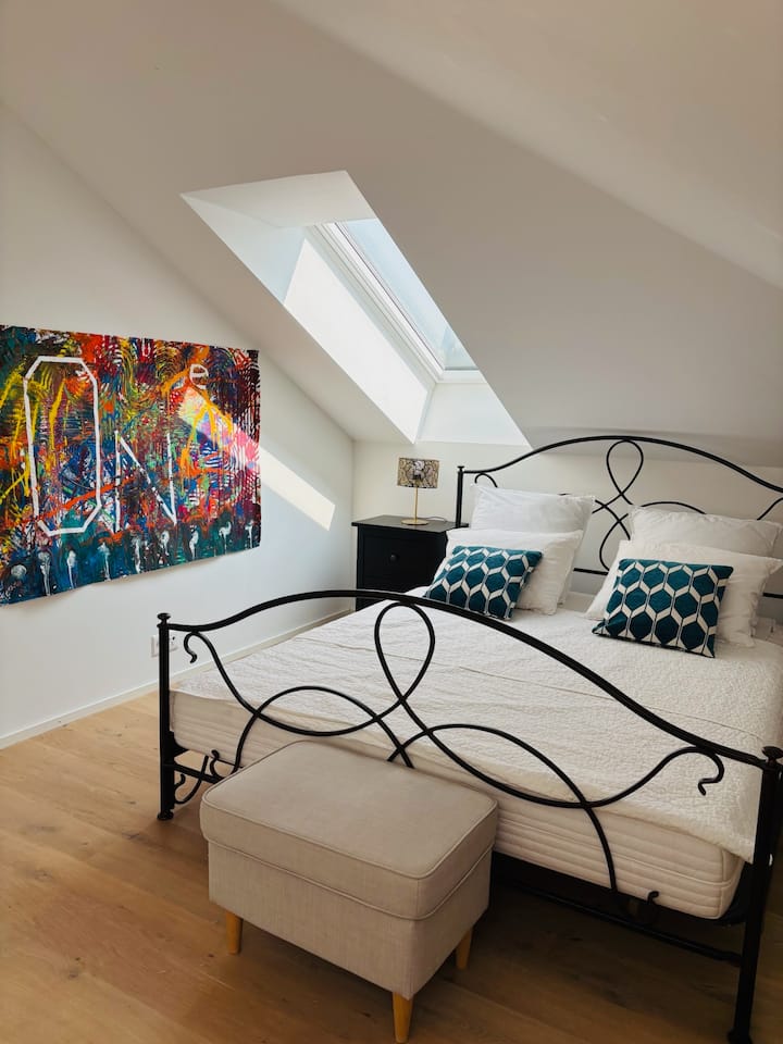 Superbe Chambre Attique Lausanne - Lausanne