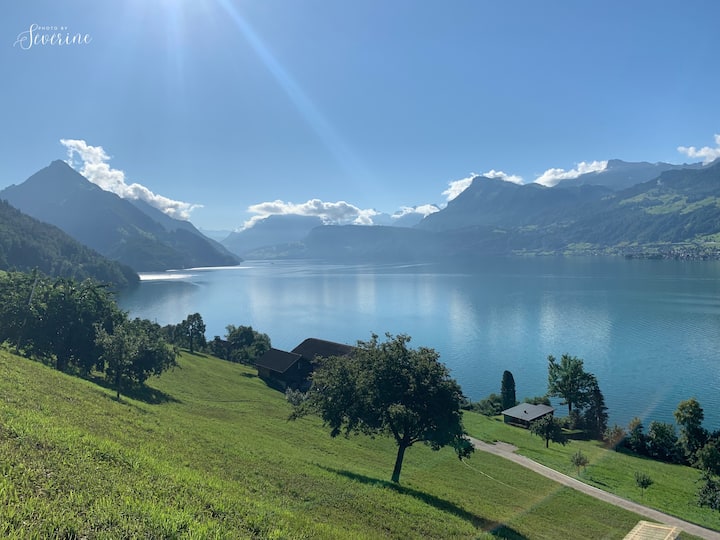Gartenoase I See&berge I Luzern - Weggis