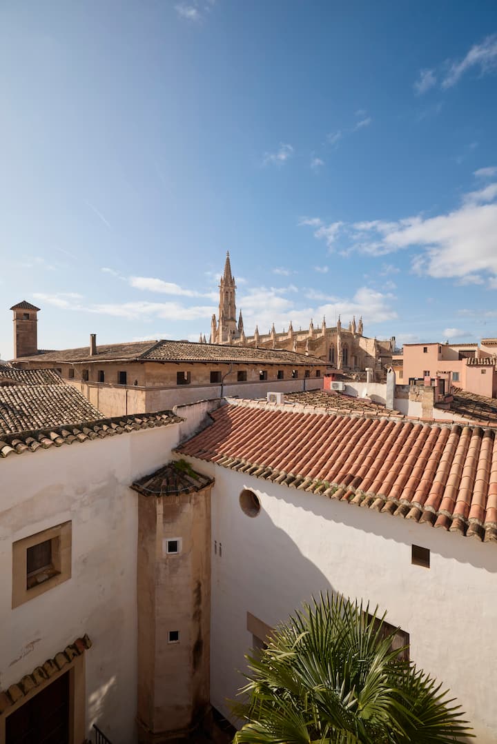 Apartment Penthouse Can Savella - Castillo de Bellver