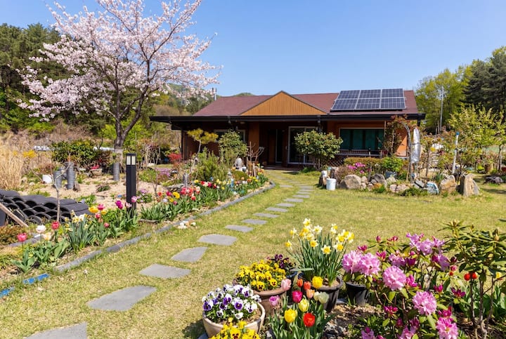 카사미아 - Gyeongju-si